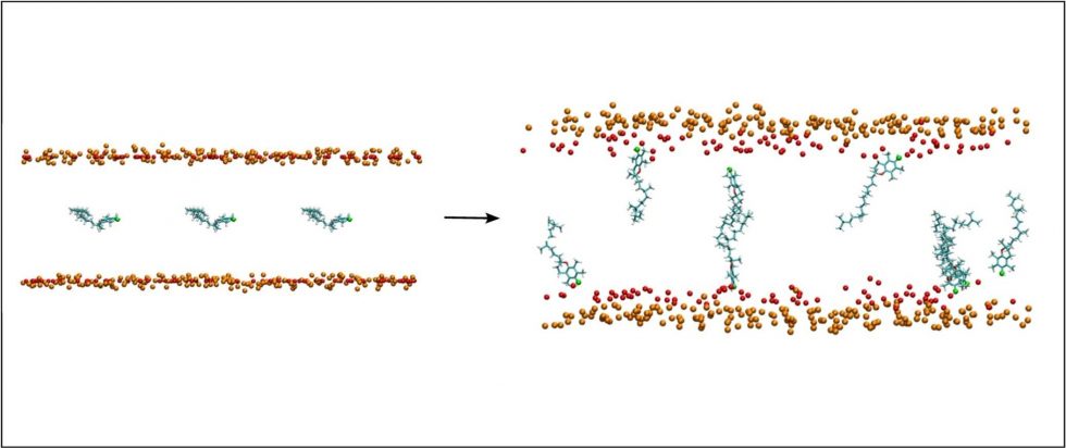 New scientific publication by José Villalaín in Chemistry and Physics ...